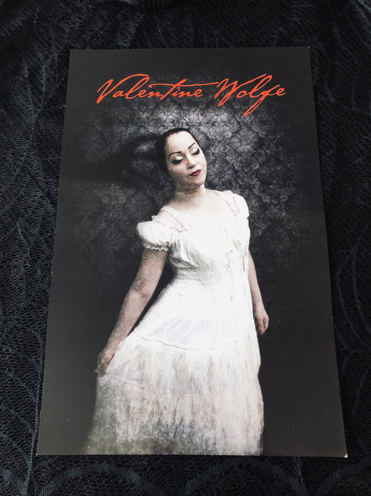 Valentine Wolfe Store